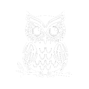 Clearwater Insurance: Personalized Home & Business Coverage